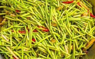 干蒜苔怎么做好吃_干蒜苔的家常做法大全