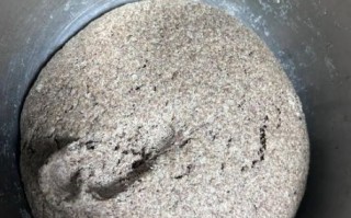 豆沙包的热量是多少_减肥能吃豆沙包吗