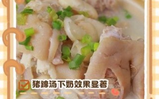 猪蹄怎么做好吃又下奶_猪蹄下奶汤的做法
