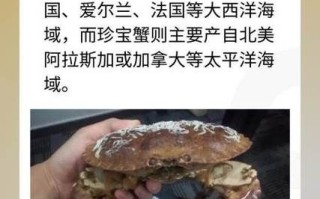 珍宝蟹是不是面包蟹_珍宝蟹和面包蟹的区别