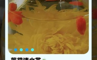 莲子心与菊花泡水功效_莲子心和菊花一起泡水有什么作用