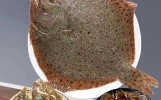 多宝鱼怎么杀_多宝鱼怎么处理干净