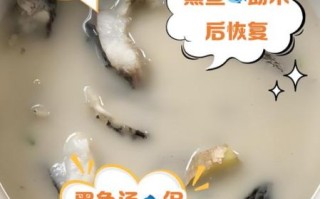 黑鱼汤会引起疤痕增生吗_术后喝黑鱼汤注意事项