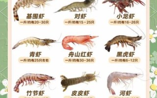 虾地理分布在哪里_虾主要生活在哪些海域