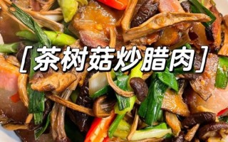 茶树菇烧肉怎么做好吃_茶树菇烧肉的做法窍门