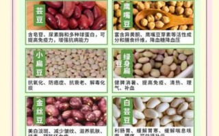 常见豆子种类有哪些_如何挑选优质豆子