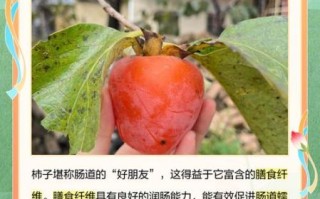 女人吃柿子有什么好处_女性吃柿子的功效与禁忌