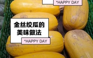 金丝绞瓜怎么做好吃_金丝绞瓜和鱼翅瓜区别