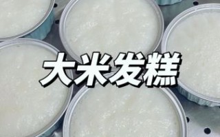 大米发糕怎么做_大米发糕为什么发不起来