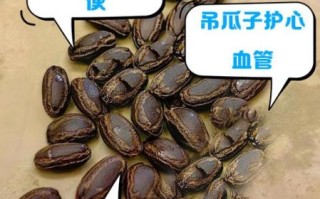 吊瓜图片大全图片_吊瓜功效与作用