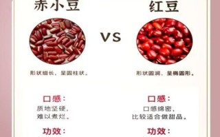 赤豆和红豆的区别_赤豆红豆哪个补血好