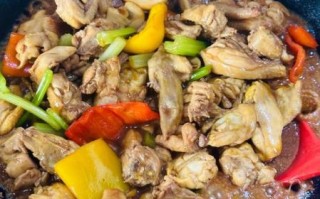 鸡肉汤锅怎么做_家常鸡肉汤锅的做法大全