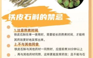 铁皮石斛的功效与作用及食用方法_怎么吃效果最好