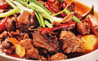 鹅怎么做好吃_鹅肉的家常做法大全