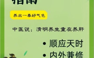 清明吃什么食物养生_清明节气如何饮食