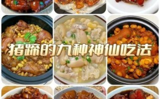 猪脚怎么做好吃_猪脚的家常做法大全