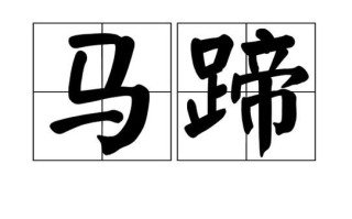 马蹄的拼音怎么写_马蹄拼音声调