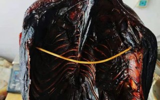 风干酱鸭怎么做_风干酱鸭要腌多久