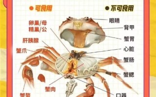 螃蟹的功效与禁忌_哪些人不能吃