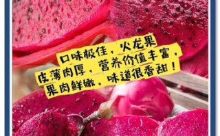 红心火龙果热量是多少_减肥能吃吗