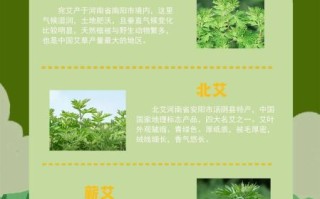 艾草的功效与作用有哪些_艾草的主治功能是什么