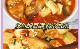 鲶鱼炖豆腐的家常做法_鲶鱼炖豆腐怎么做好吃