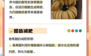 醋泡香蕉真的能减肥吗_醋泡香蕉减肥原理
