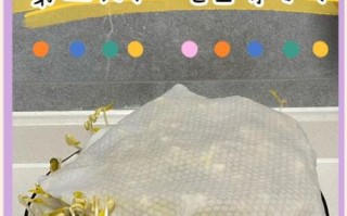 绿豆芽怎么生粗壮又白_家庭无土栽培技巧