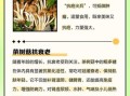 茶树菇的功效与作用_茶树菇怎么吃最营养