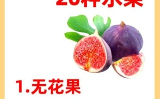 坐月子可以吃什么水果_哪些水果适合产后吃