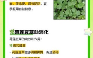 荷包豆的功效与作用_荷包豆怎么吃最养肾