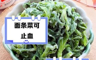 面条菜的功效与作用_面条菜怎么吃最营养