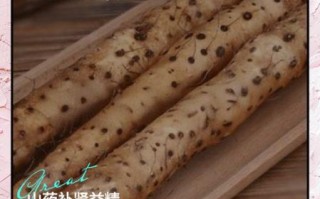 山药有什么营养价值_山药的功效与作用