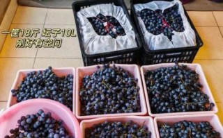 怎样酿葡萄酒才好喝_家庭自酿葡萄酒怎么做才香醇