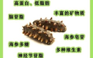 海参的营养价值高吗_海参的功效与作用