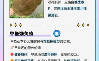 甲鱼营养价值有哪些_甲鱼功效与作用是什么