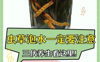 虫草泡水用开水还是温水_虫草泡水正确步骤
