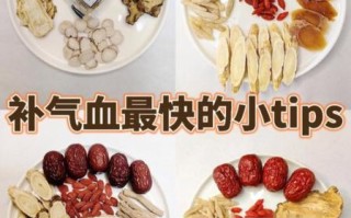 补血的食物有哪些_补气吃什么最快