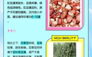 豇豆怎么念_豇豆和豆角的区别