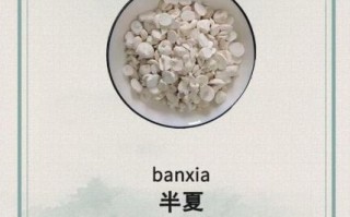 半夏的功效与作用_半夏有毒吗