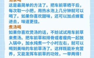 车前草怎么吃_车前草的做法大全