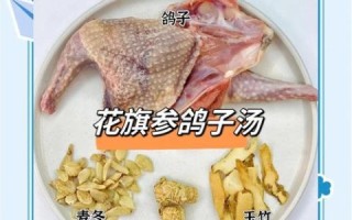 鸽子炖什么滋阴补肾_鸽子炖什么药最补肾