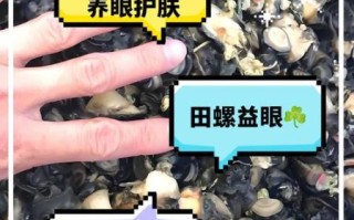 螺丝怎么吃_螺丝肉取食部位图解