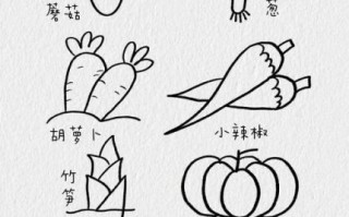 蔬菜简笔画怎么画_100种蔬菜手绘教程