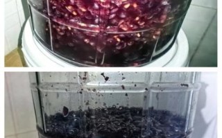 自酿葡萄酒的做法_自酿葡萄酒需要哪些材料