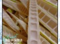 泡竹笋的做法大全_如何快速去涩