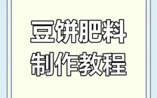 豆饼表情怎么制作_豆饼软件有哪些功能