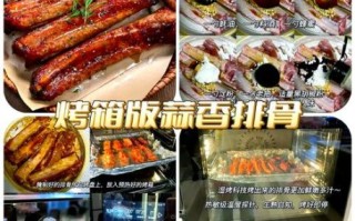 家用烤箱食谱大全_烤箱新手入门怎么做