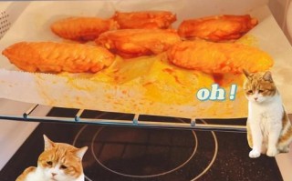 光波炉食谱大全_光波炉怎么做菜