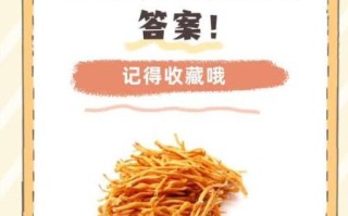 虫草花孕妇可以吃吗_孕妇吃虫草花注意事项